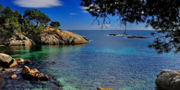 Novo ZERO Diesel da PRIO é 100% energia renovável - Ambiente Magazine