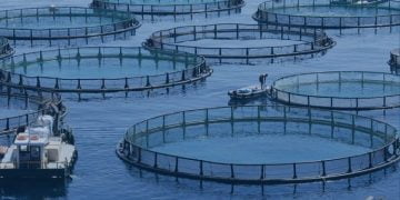 Novo ZERO Diesel da PRIO é 100% energia renovável - Ambiente Magazine