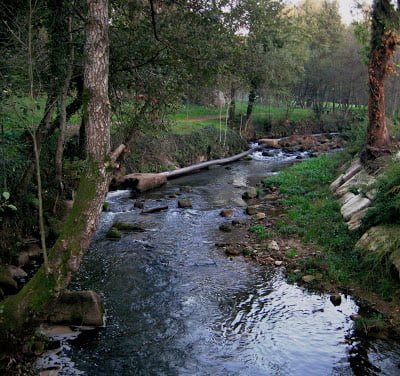 ETAR de Paços de Ferreira faz descarga para rio - Ambiente Magazine