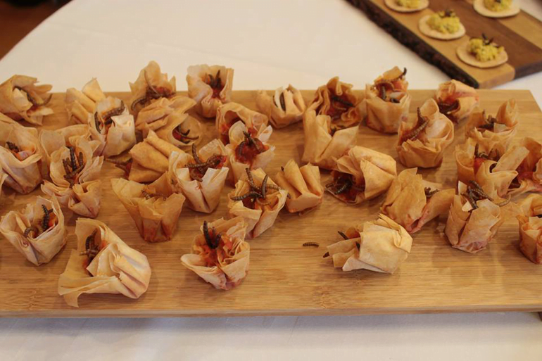 Conferência da Portugal Insect celebra Dia Mundial do Inseto Comestível ...