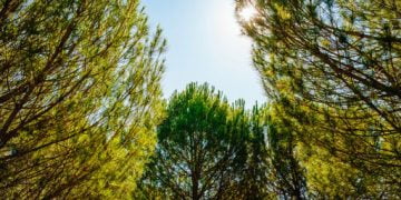 Novo ZERO Diesel da PRIO é 100% energia renovável - Ambiente Magazine