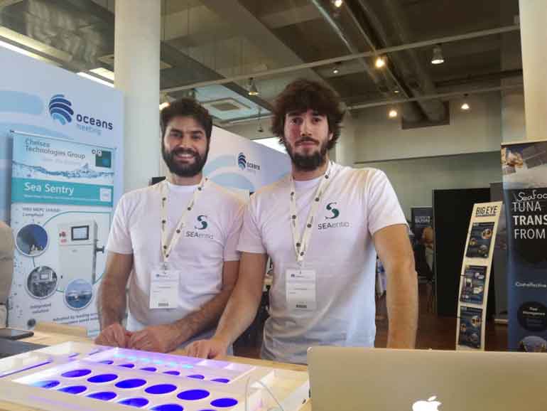 SEAentia quer derrubar "mitos" e "percepções erradas" que ainda existem ...