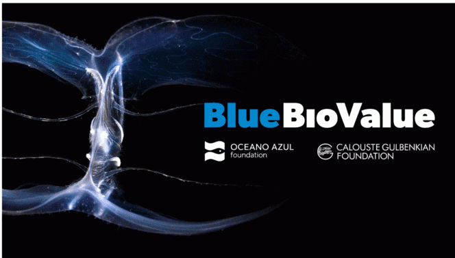 Quarta edição do Blue Bio Value recebe 18 startups de dez países dos ...