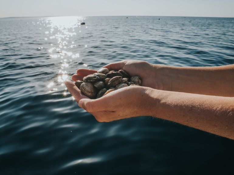 Oceano Fresco junta-se à PRIMAVERA para uma melhor gestão da ...