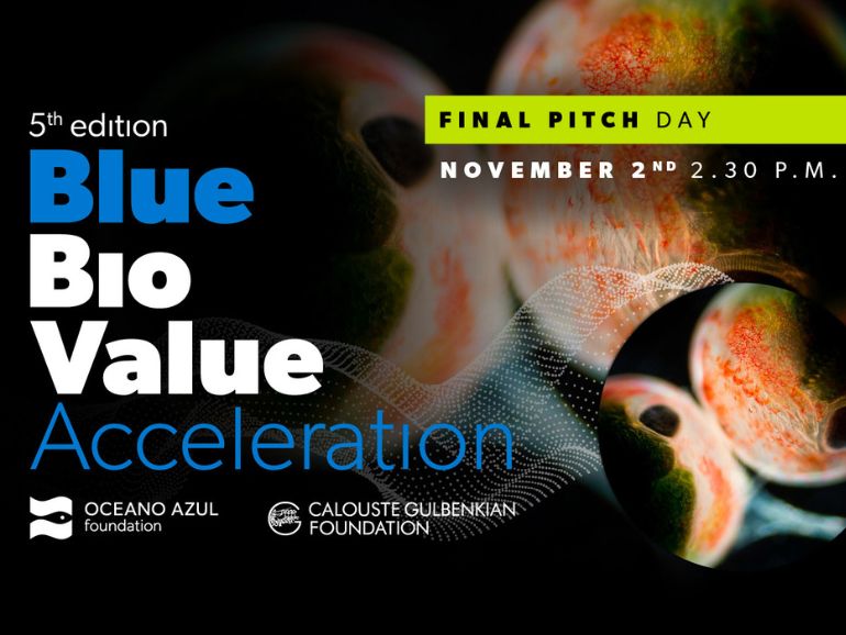 Vencedor do programa Blue Bio Value é conhecido no próximo dia 2 de novembro - Ambiente Magazine