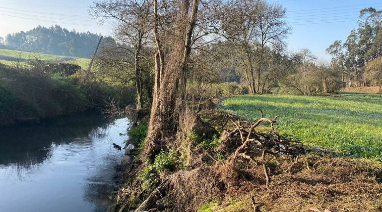bp Portugal apoia programa de manutenção da floresta nativa da Lipor ...