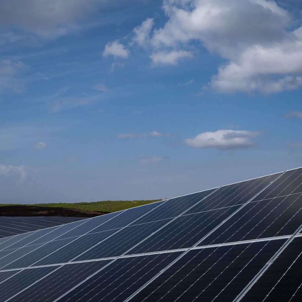 A Galp e a renovação do setor energético - Ambiente Magazine