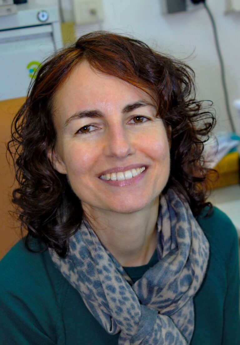 #Opinião: Dia da Floresta autóctone - Lembrar e Agir - Ambiente Magazine