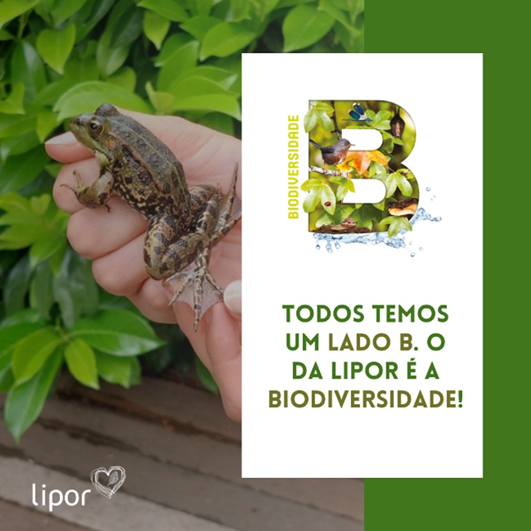 LIPOR celebra o seu Lado B com o Mês da Biodiversidade - Ambiente Magazine