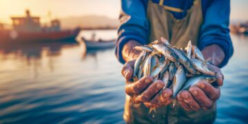 Novo ZERO Diesel da PRIO é 100% energia renovável - Ambiente Magazine