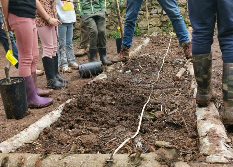 Novo ZERO Diesel da PRIO é 100% energia renovável - Ambiente Magazine