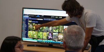 Novo ZERO Diesel da PRIO é 100% energia renovável - Ambiente Magazine