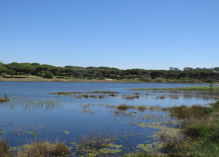 Novo ZERO Diesel da PRIO é 100% energia renovável - Ambiente Magazine