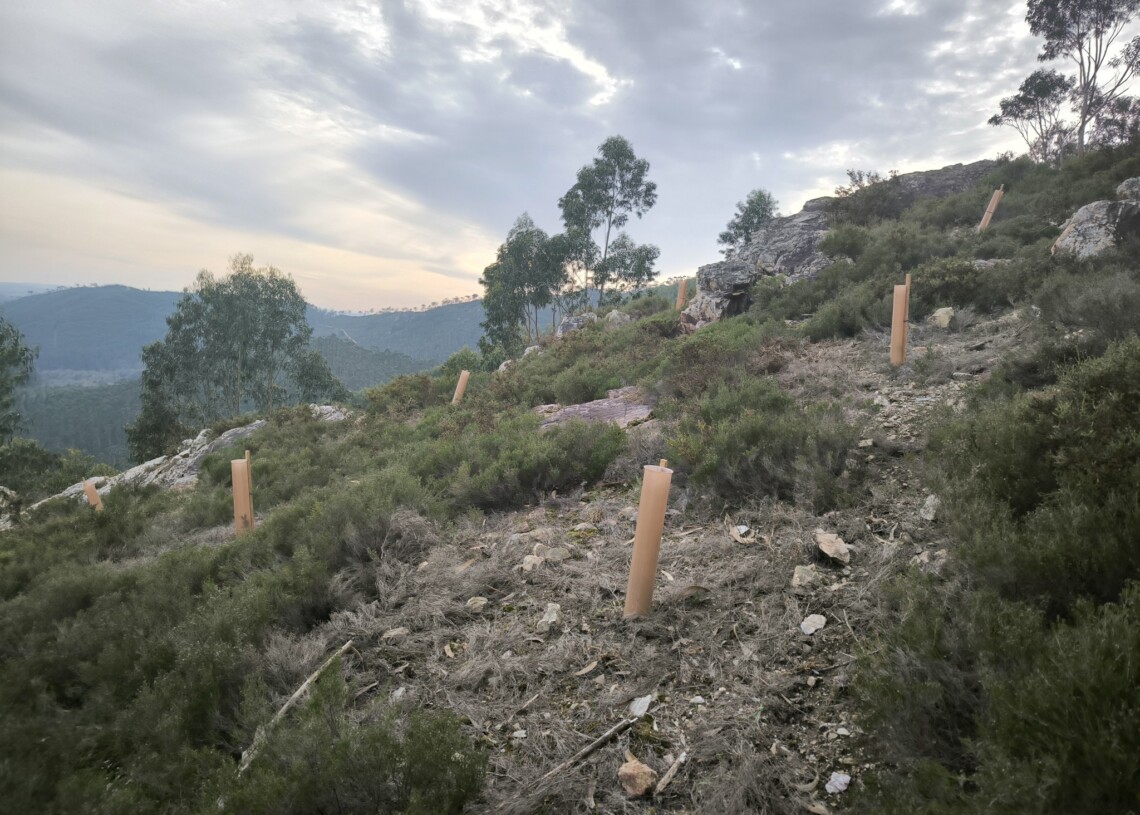 Tejo Ambiente: Investimentos para um Futuro Sustentável - Ambiente Magazine