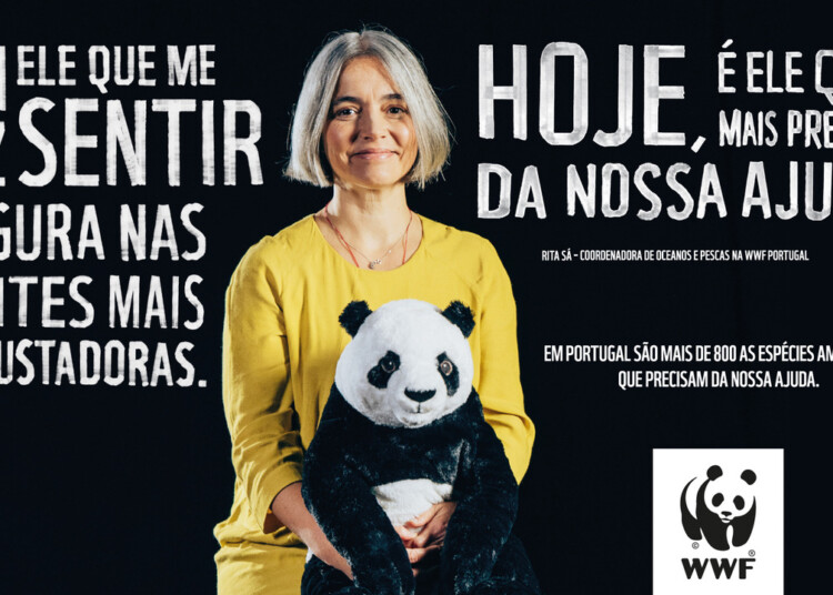 Novo ZERO Diesel da PRIO é 100% energia renovável - Ambiente Magazine